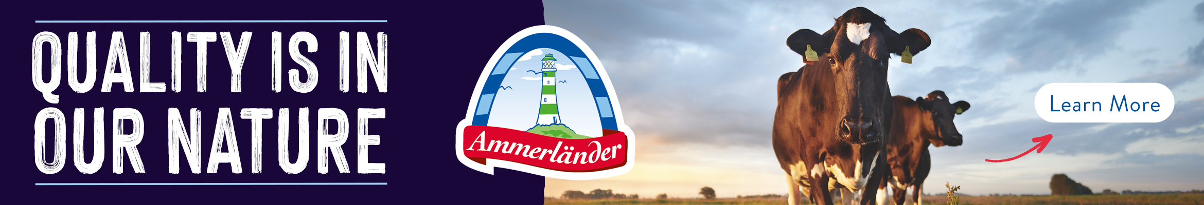 Erewhon Market CEO Tony Antoci Discusses History and Future of Famed LA ...