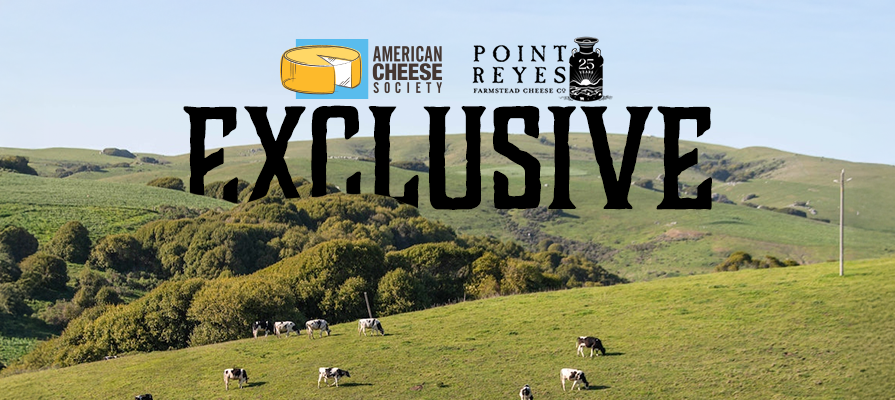 ACS Board Exclusive: Erin Clancy, Point Reyes Farmstead Cheese ...
