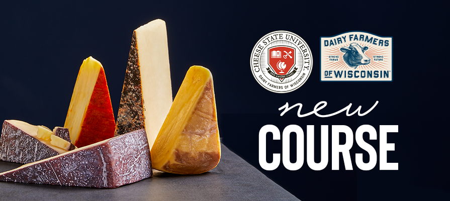 Cheese State University Unveils New Course to Elevate Retail Cheese ...