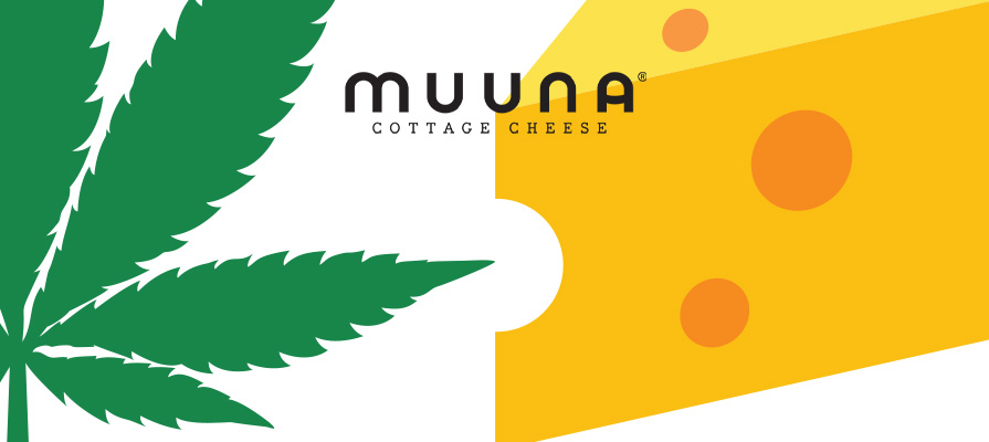 Muuna® Launches First Ever Cannabis Cottage Cheese | Deli Market News