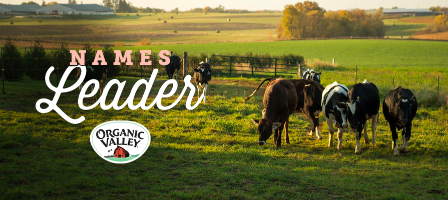 Organic Valley Appoints Shawna Nelson as Executive Vice President of ...