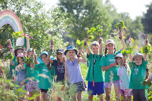 Sprouts Healthy Communities Foundation Accepting Applications for 2020 ...