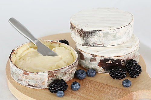 Jasper Hill Farm Wins Awards at American Cheese Society Competition ...