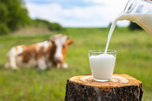 California Milk Advisory Board Supports California Dairy Producers ...