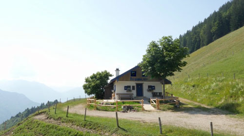 Schuman Cheese Introduces Bergader's Bavaria Blu and Edelpilz | Deli ...