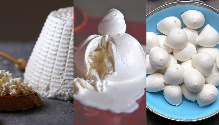 Caputo Cheese Takes Home Best-in-Class Award | Deli Market News