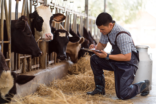 California Dairy Innovation Center Releases Dairy Innovation Conference ...
