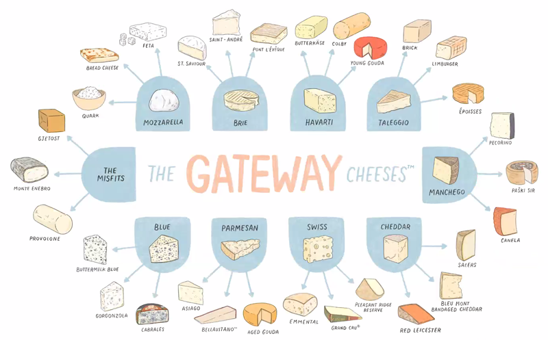 The State of Cheese Introduces Cheese State University; Molly Browne ...