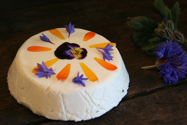 Cheese Trail Goes National: Now Recruiting U.S. Cheesemakers and Cheese ...