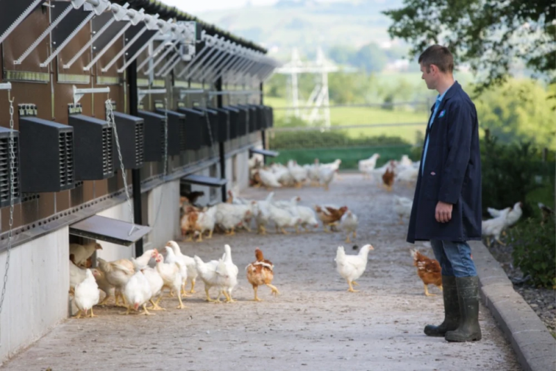 Pilgrim's Releases 2022 Sustainability Report; Fabio Sandri Details ...