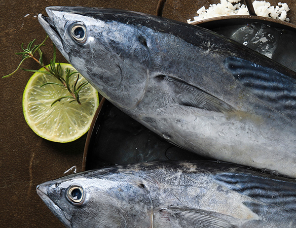 Baldor Specialty Foods Shares 2024 Food Forecast; Emily Murphy Comments ...