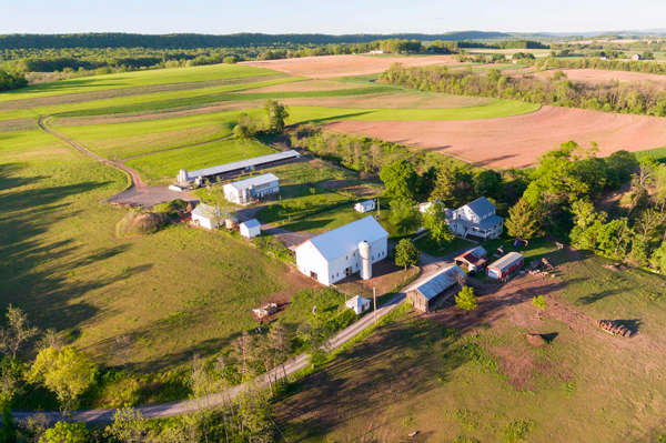 Organic Valley Appoints Shawna Nelson as Executive Vice President of ...