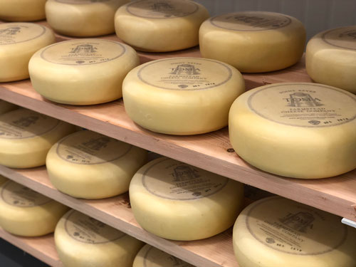Point Reyes Farmstead Cheese's Jill Giacomini Basch Discusses Facility ...
